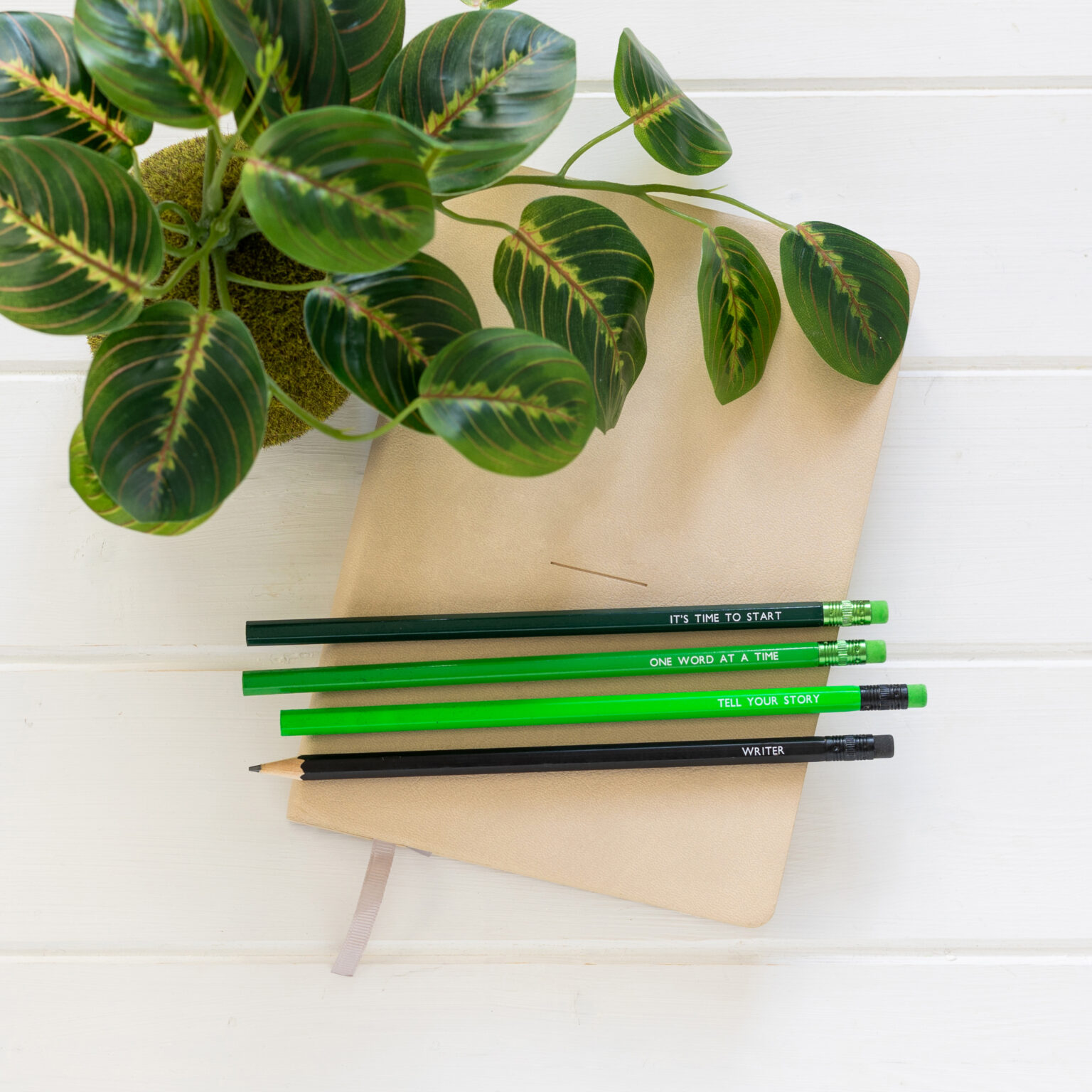 The Writer's Pencil Set - Women's Prize : Women's Prize